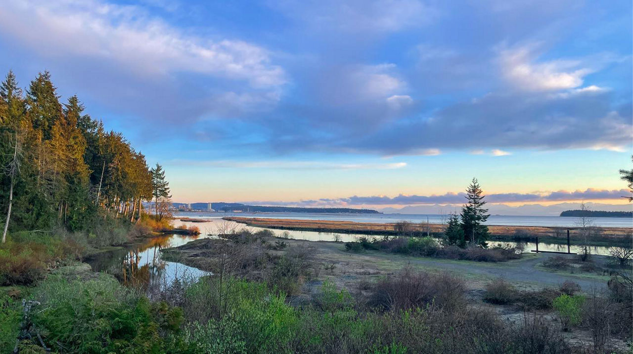 Living Forest Oceanside Campground RV Resort | A Newmar Curated RV Resort